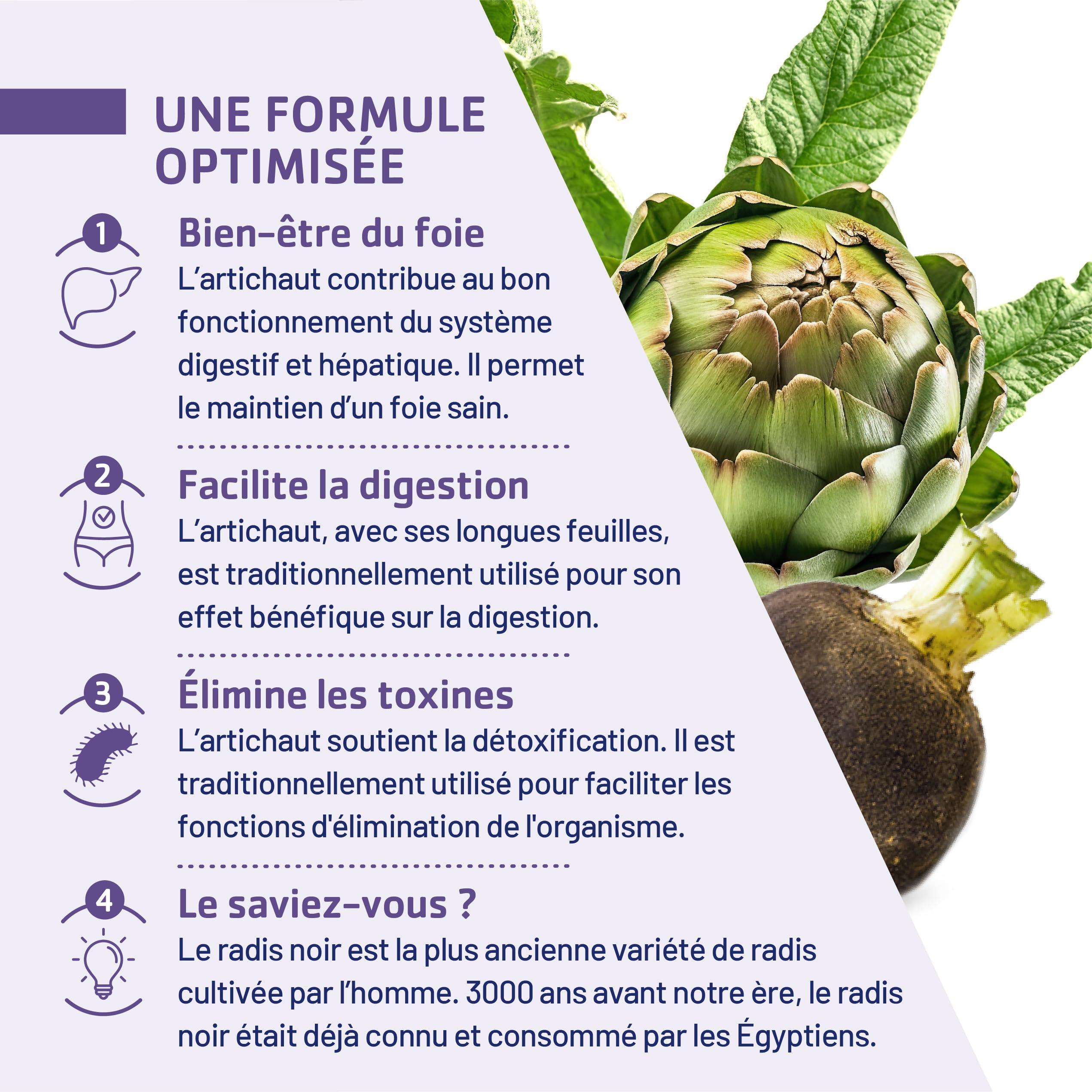 artichoke phials for gut health