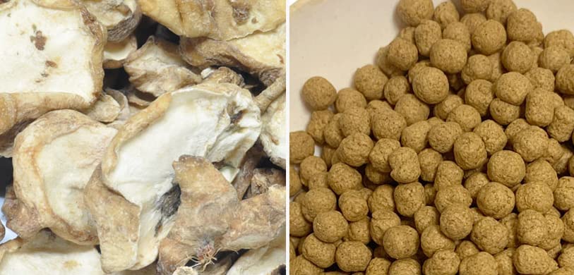 artichoke pills for liver support