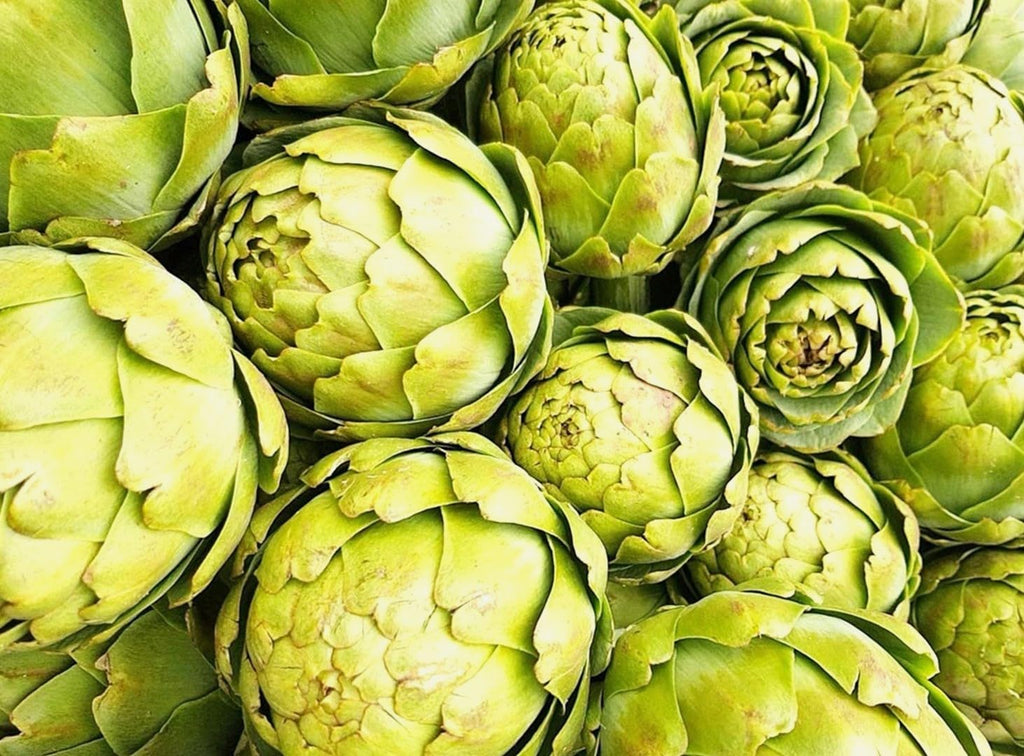 artichoke seeds for nutritious meals