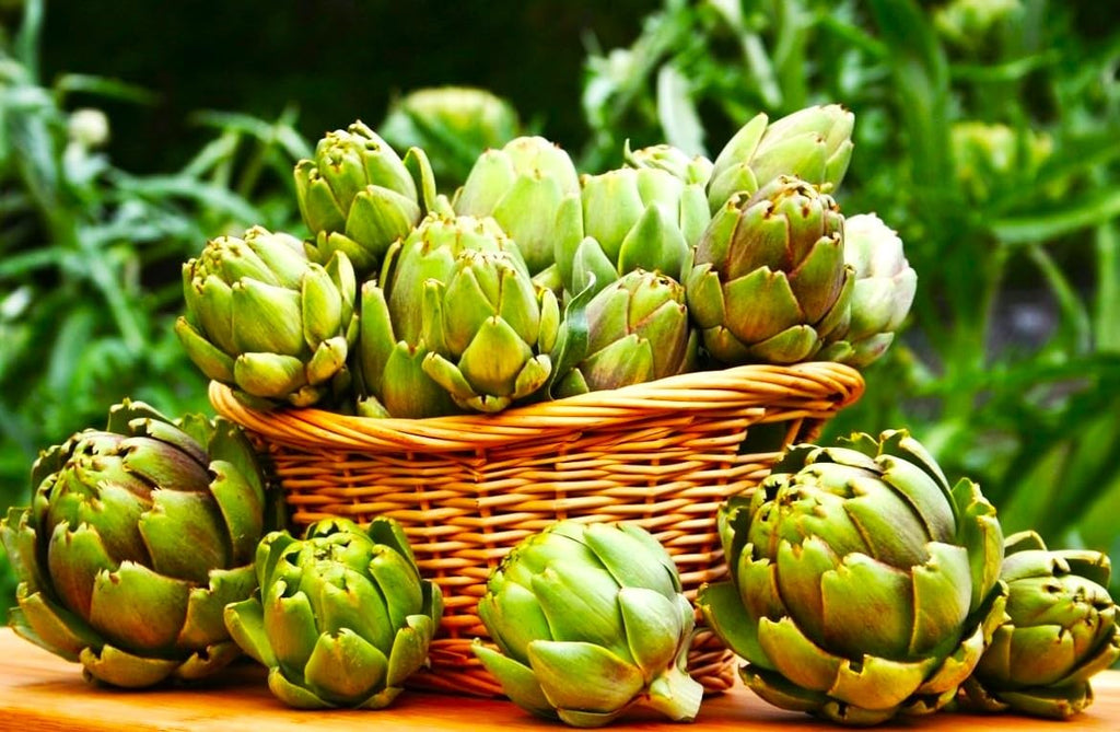 artichoke seeds for organic gardens