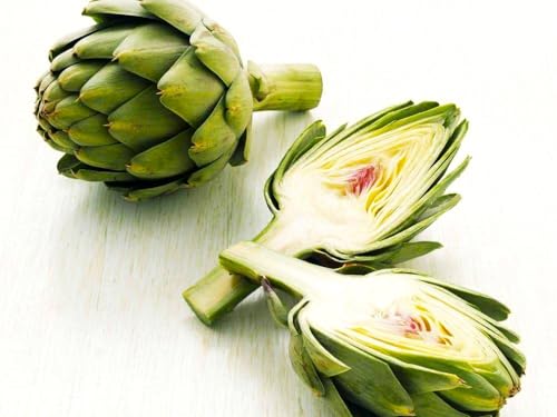 artichoke seeds for vibrant gardens