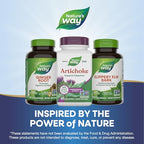 artichoke supplement for healthy digestion