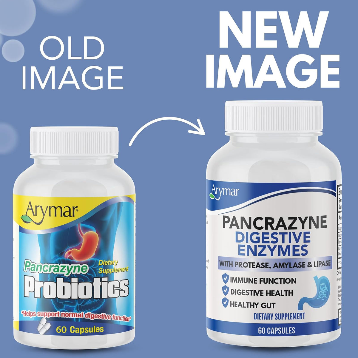 Arymar probiotics for balanced digestion
