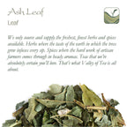 Ash Leaf herbal detox tea blend