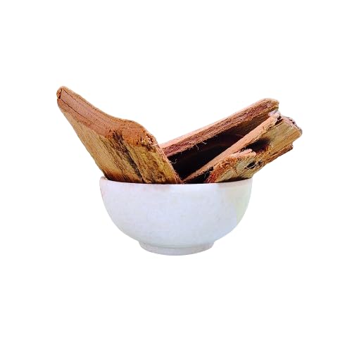 ashoka tree bark health benefits