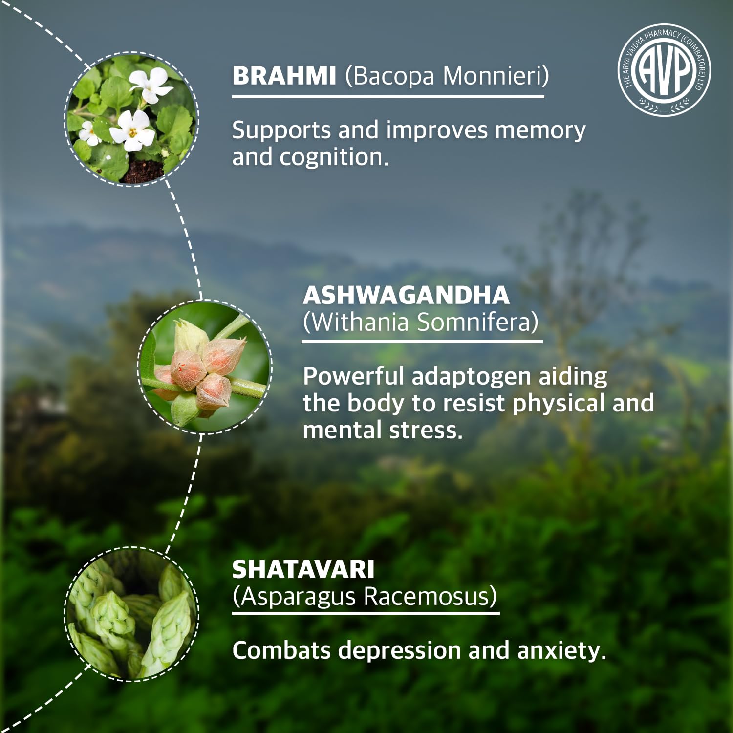 Ashwagandha and Brahmi in herbal supplement