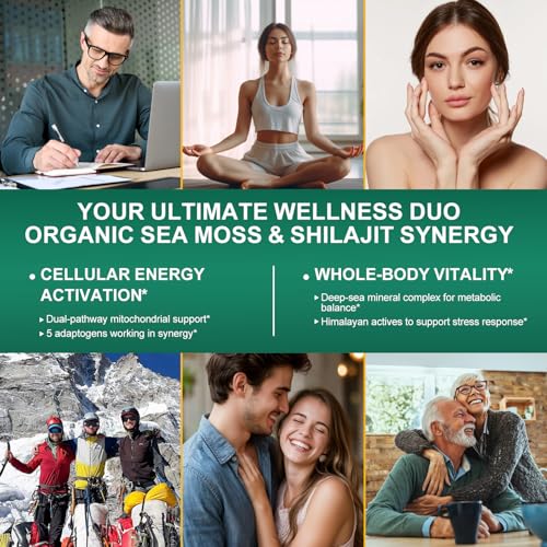 ashwagandha and ginseng in shilajit capsules