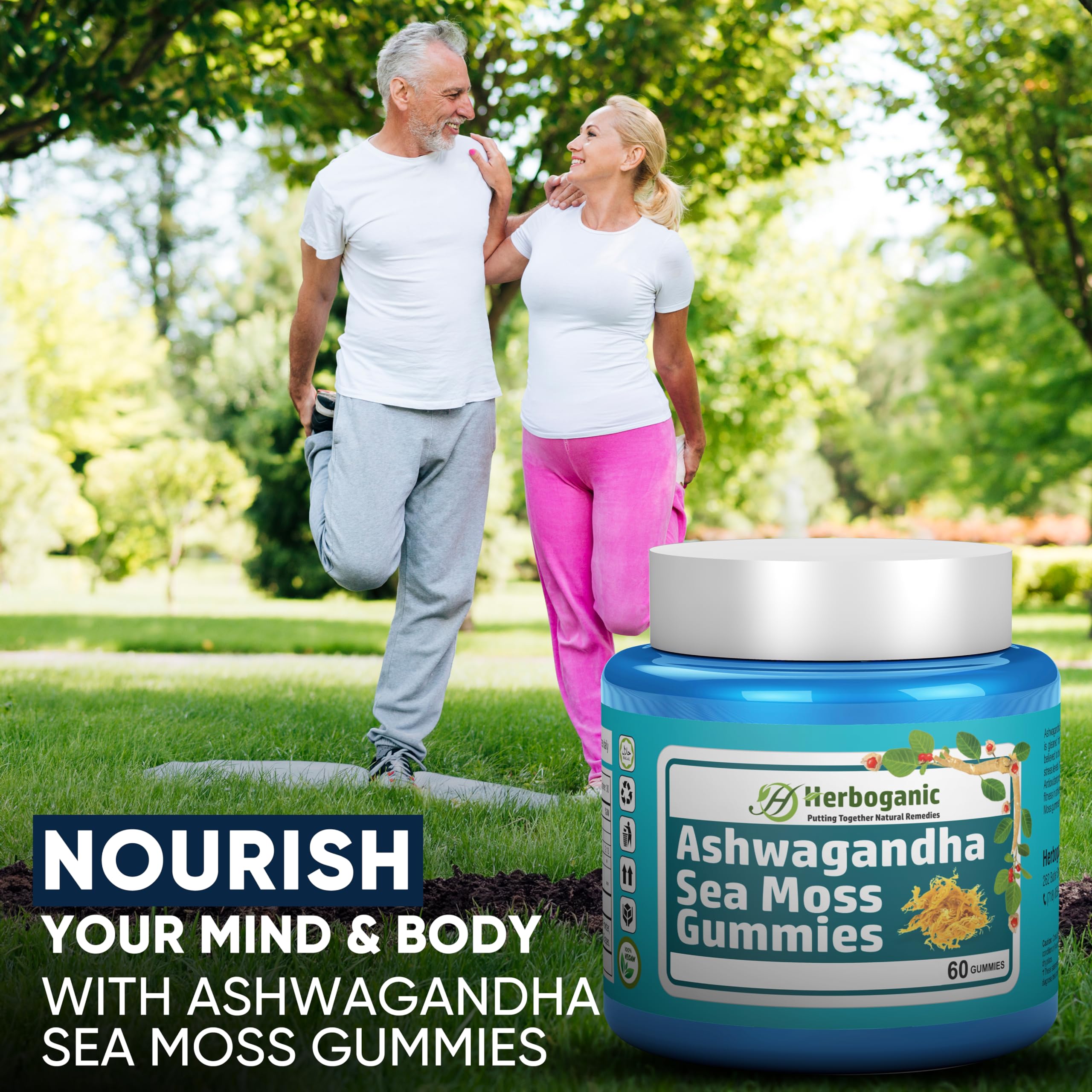 ashwagandha and l-theanine combination