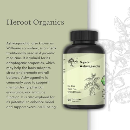ashwagandha and l-theanine for calm focus