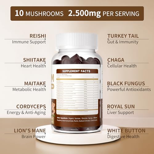 ashwagandha and lion's mane benefits