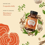 ashwagandha and lion's mane blend benefits