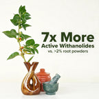 Ashwagandha and magnesium for stress relief