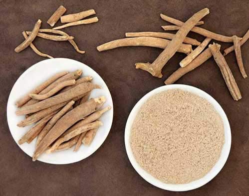 ashwagandha and magnesium for stress