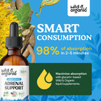 ashwagandha and rhodiola for energy