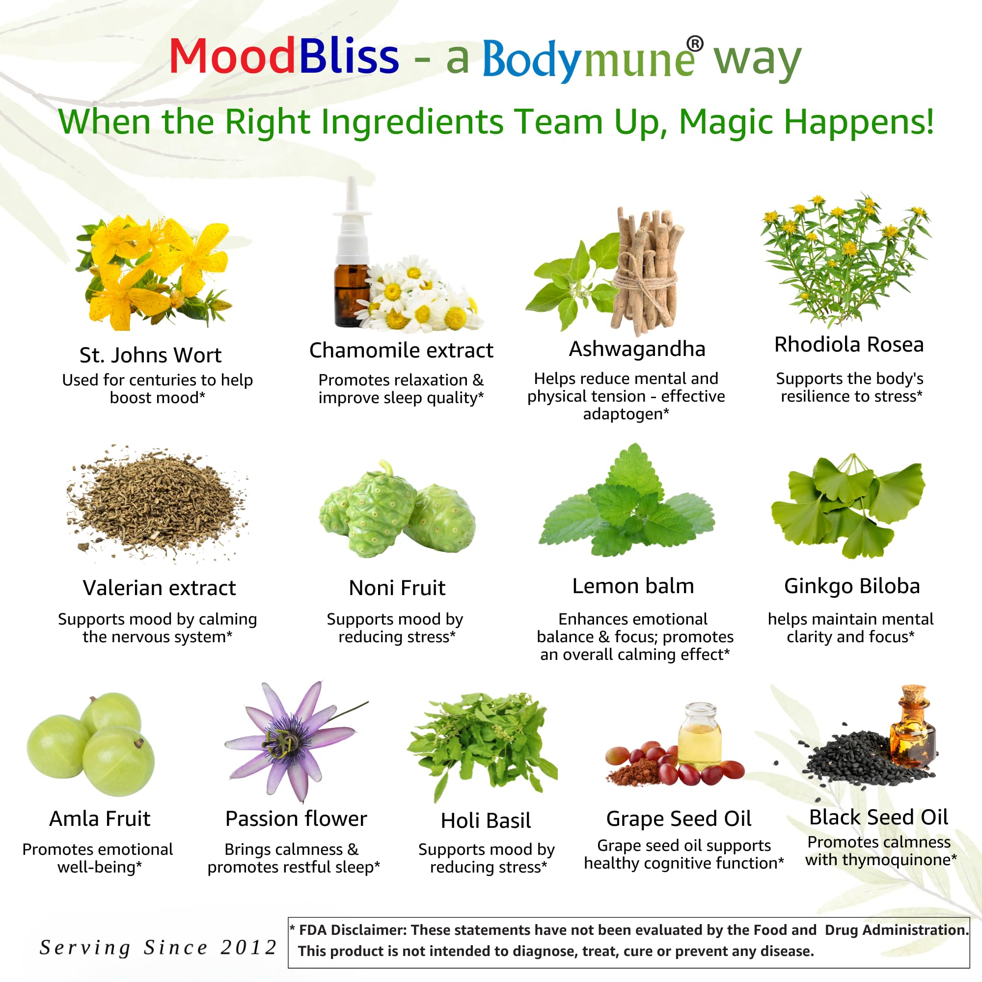 ashwagandha and st. john's wort blend