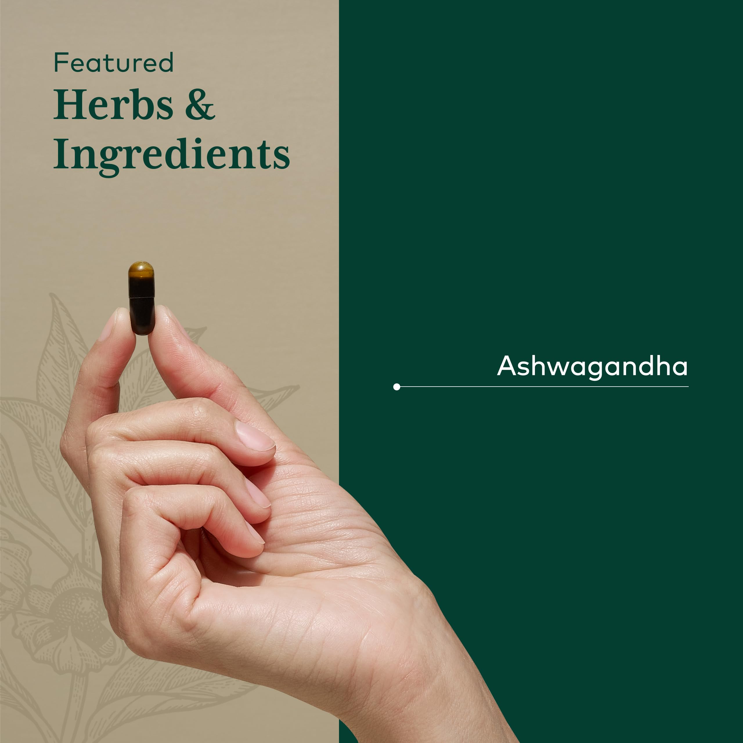 ashwagandha benefits for men's health