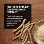 ashwagandha capsules for better sleep