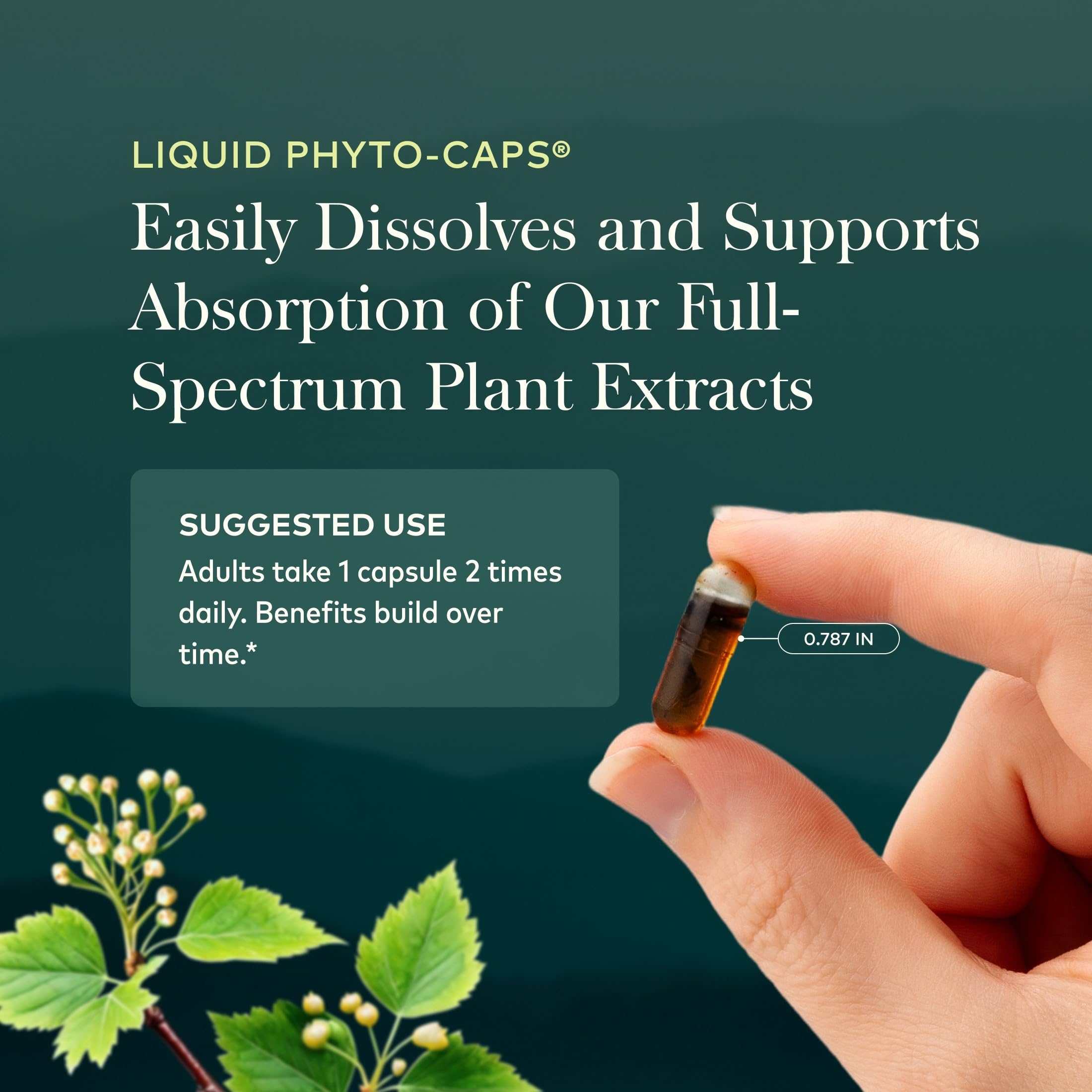 ashwagandha capsules for daily use