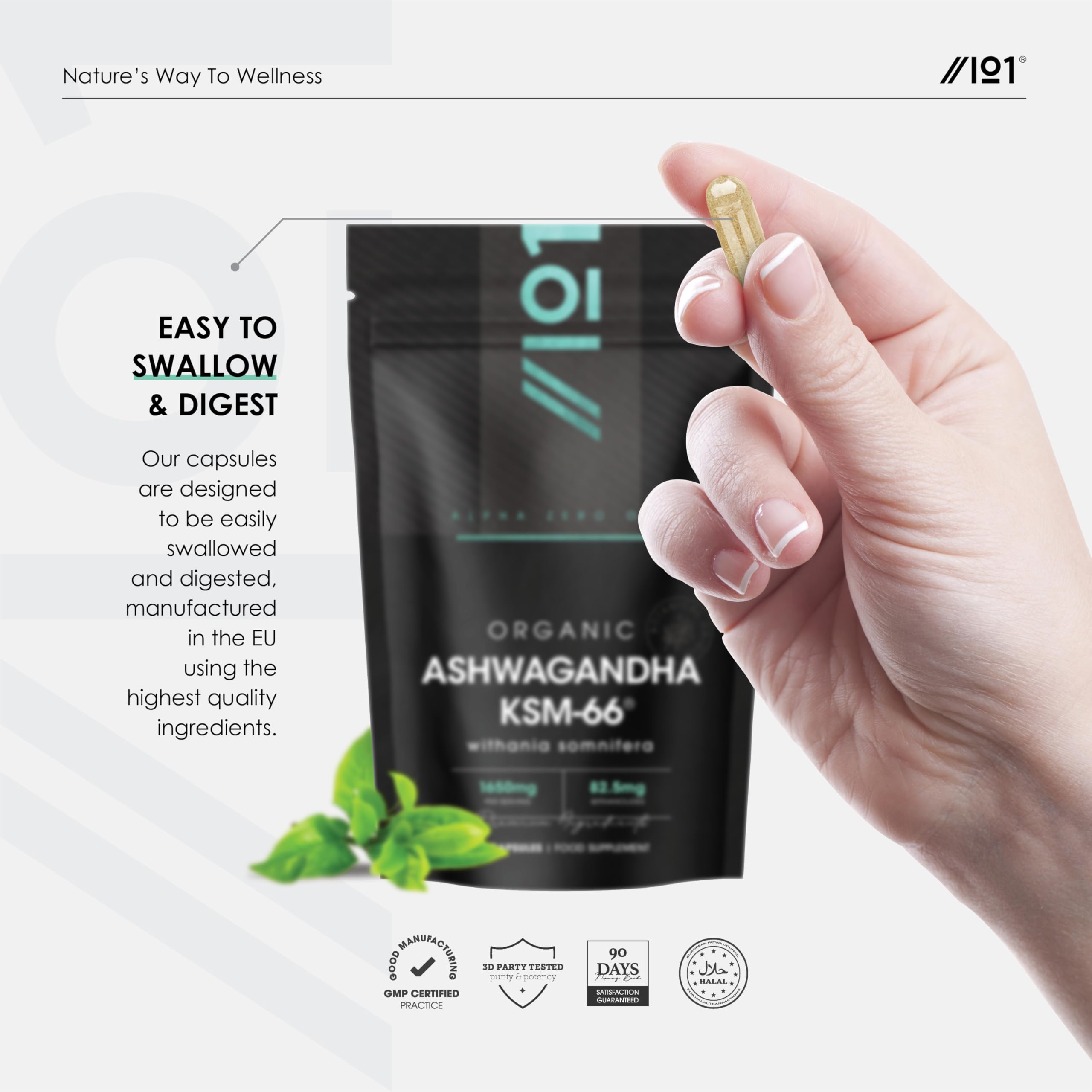 ashwagandha capsules for daily vitality