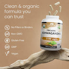 ashwagandha capsules for daily wellness