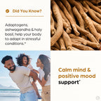 ashwagandha capsules for daily wellness