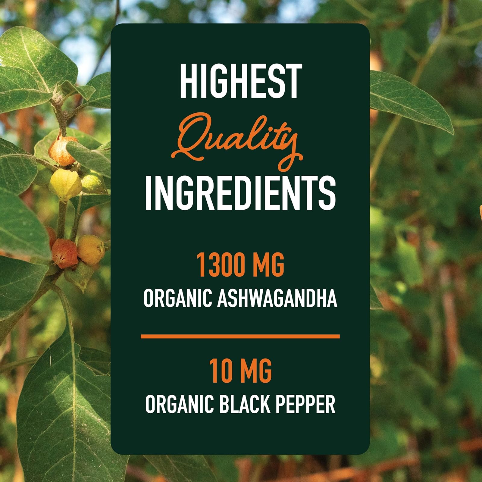 ashwagandha capsules for immune support