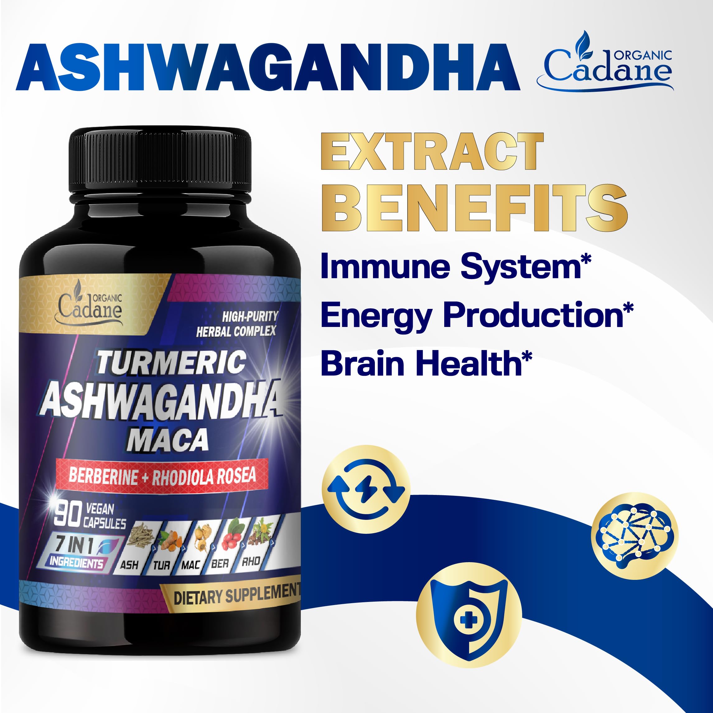 ashwagandha capsules for improved focus