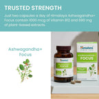 ashwagandha capsules for mental clarity