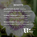 Ashwagandha capsules to support mental clarity