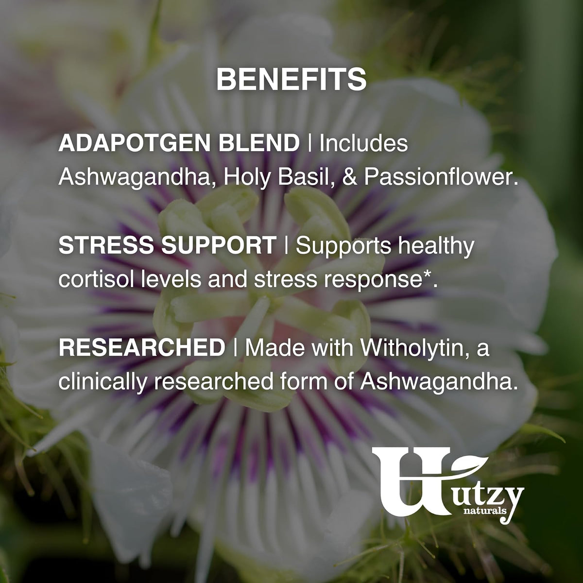 Ashwagandha capsules to support mental clarity