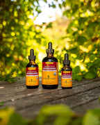 ashwagandha extract for energy boost