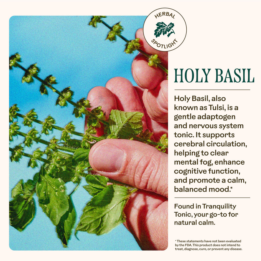 ashwagandha for anxiety support