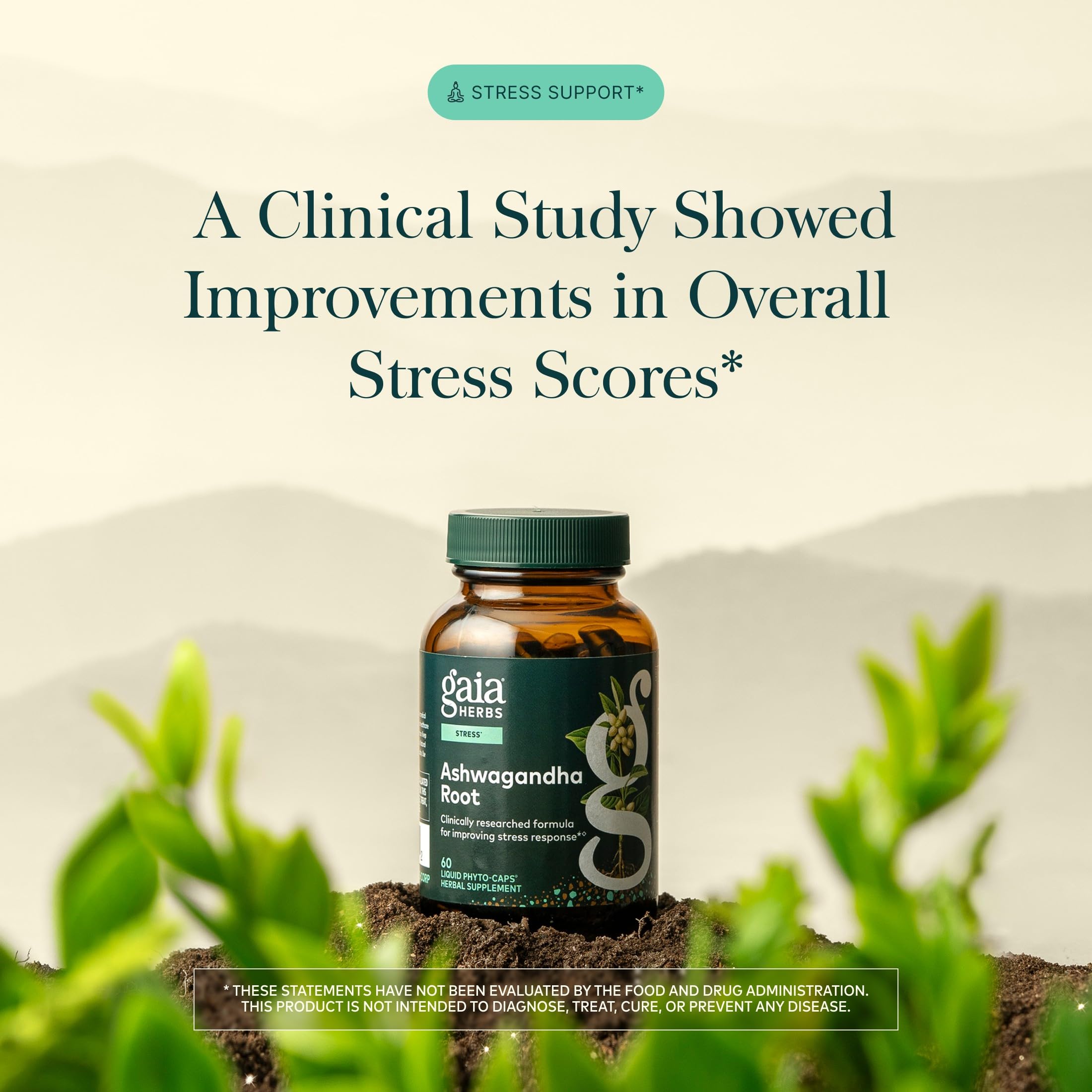 ashwagandha for balanced energy levels