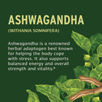 ashwagandha for balanced mood support