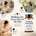 Ashwagandha for better sleep support