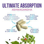 ashwagandha for better sleep
