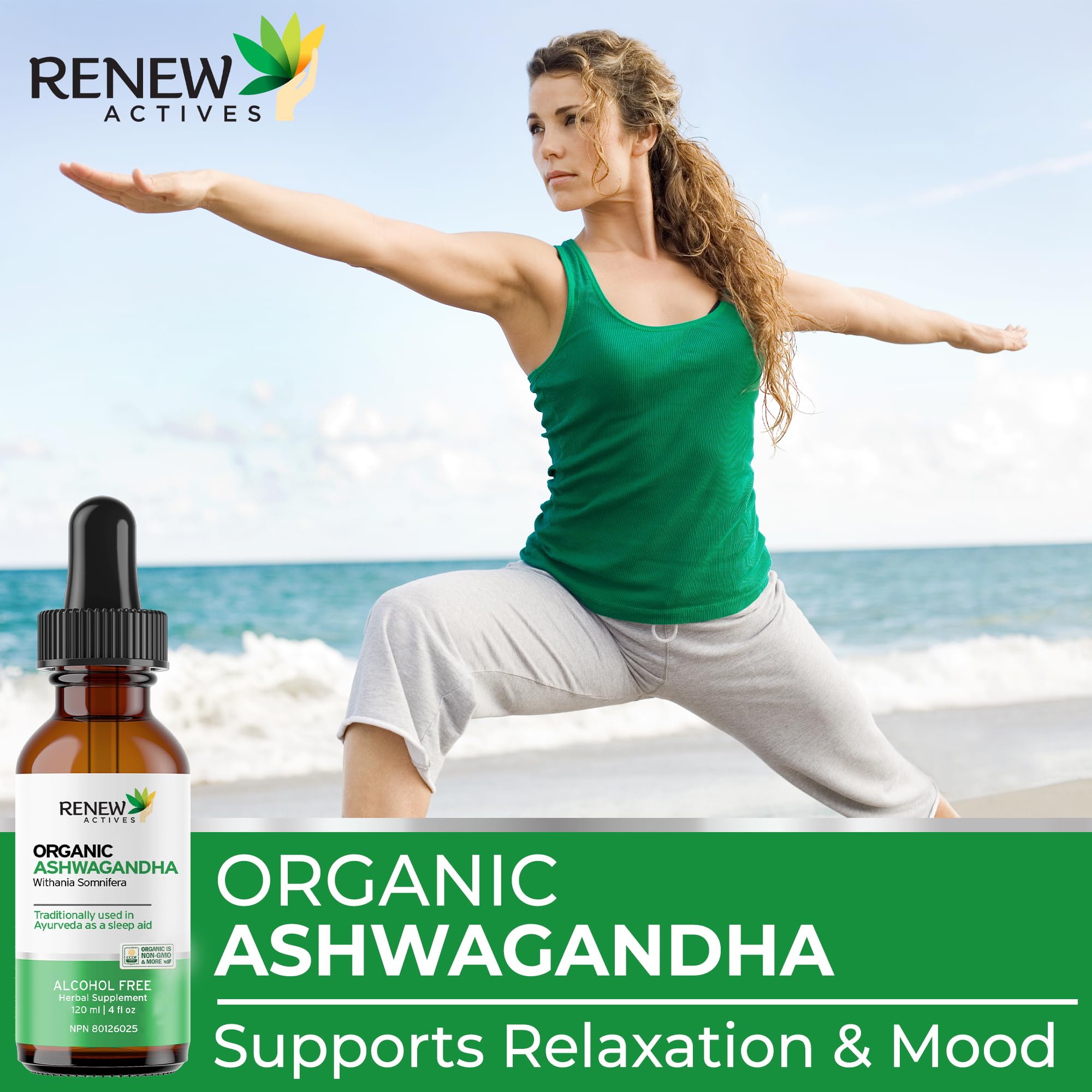 ashwagandha for cognitive function support