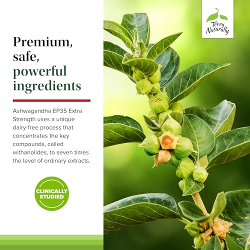 ashwagandha for emotional balance and calm