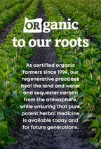ashwagandha for energy and focus