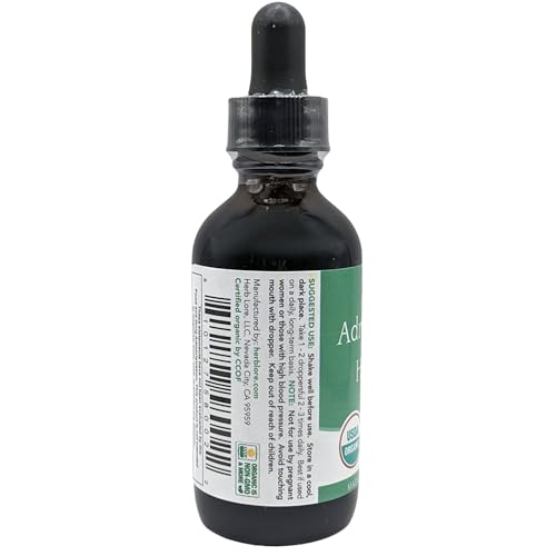ashwagandha for energy and focus