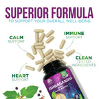 Ashwagandha for energy and vitality