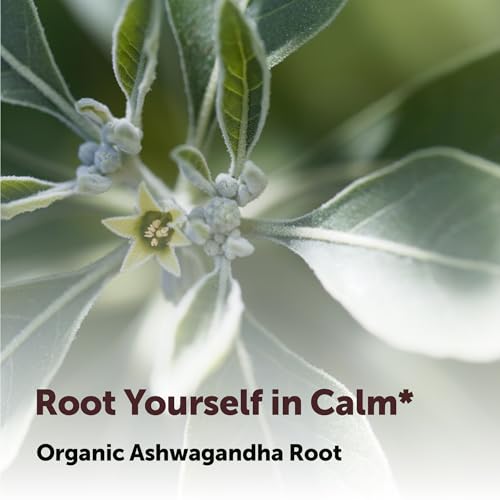 ashwagandha for energy boost