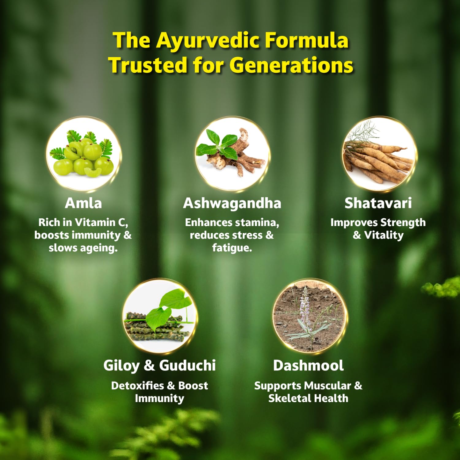 ashwagandha for enhanced vitality