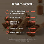 ashwagandha for enhanced wellness