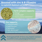 ashwagandha for enhanced wellness