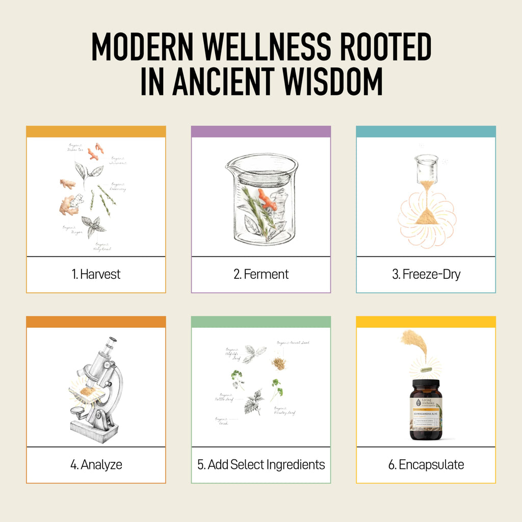 ashwagandha for immune system support