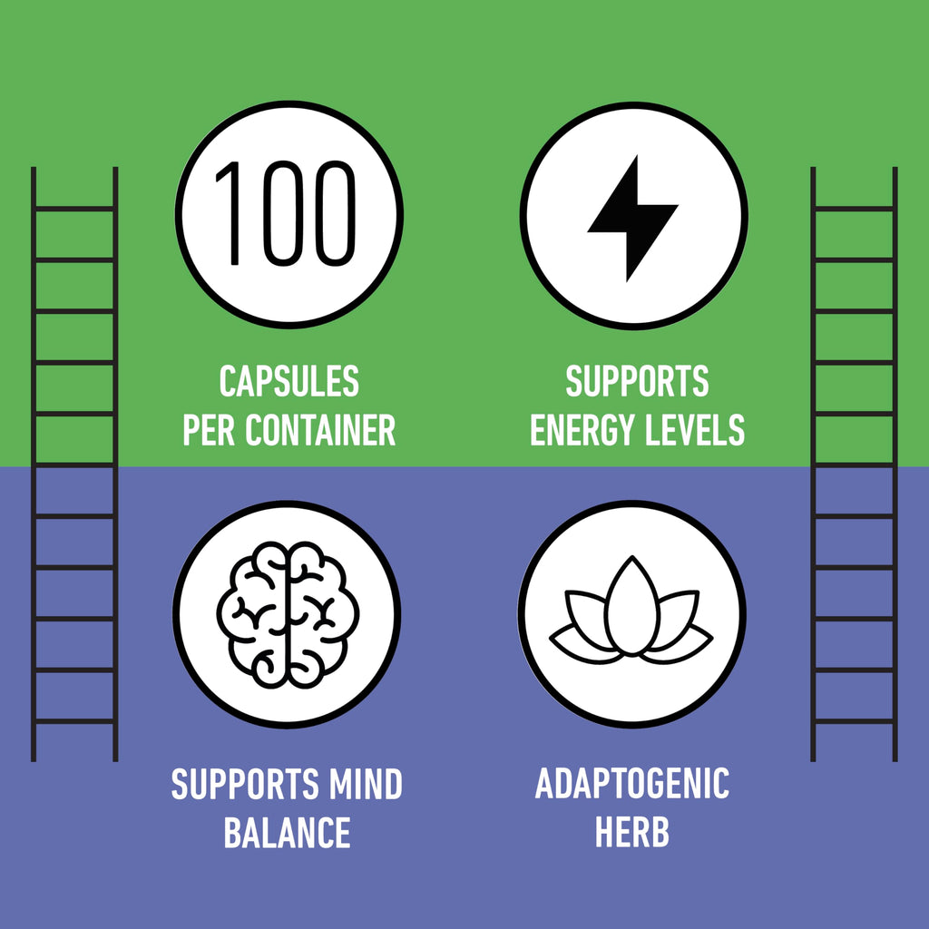 ashwagandha for improved focus and concentration