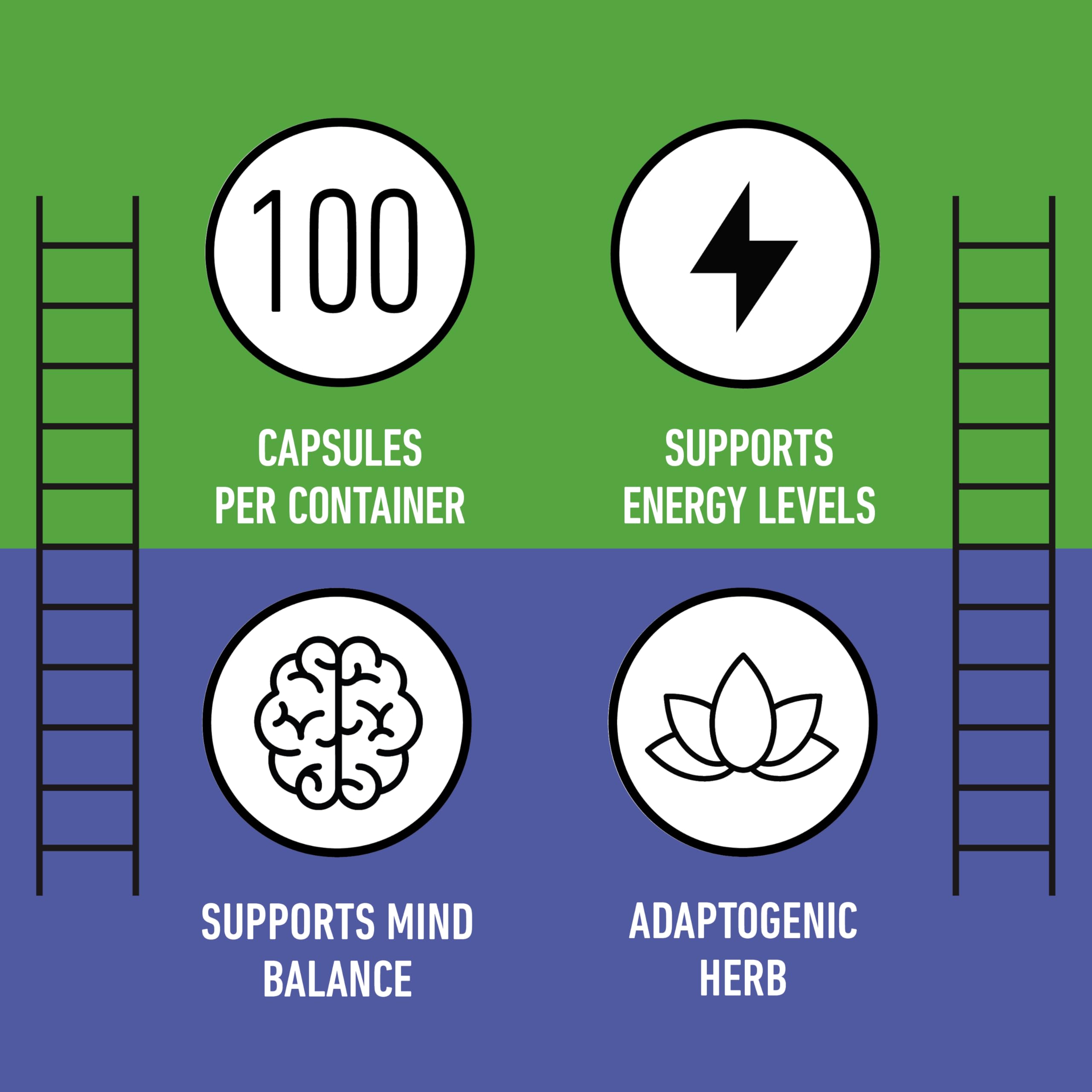 ashwagandha for improved focus and concentration