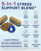 ashwagandha for improved focus