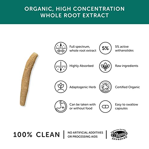 ashwagandha for improved mental clarity